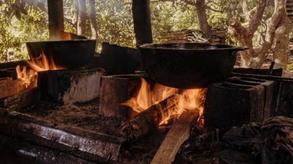 El fogón como resistencia: memoria y ciencia ante el hambre de ...